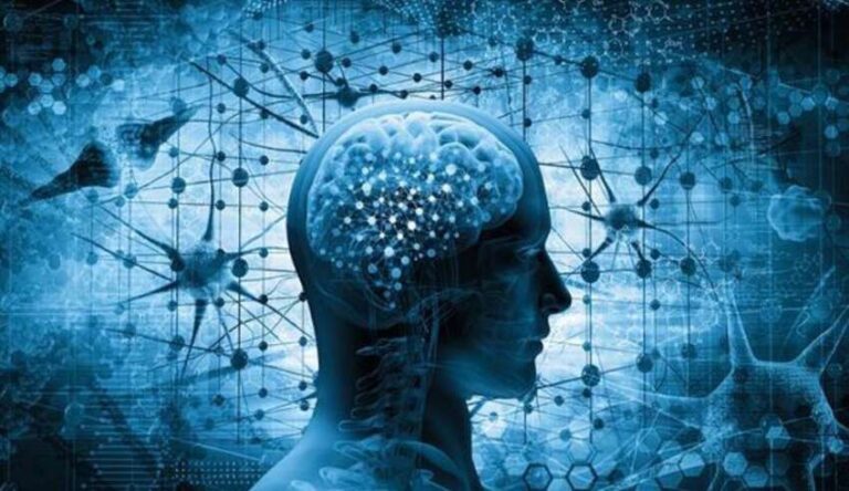 Um estudo científico mostra que os humanos têm a capacidade de ...